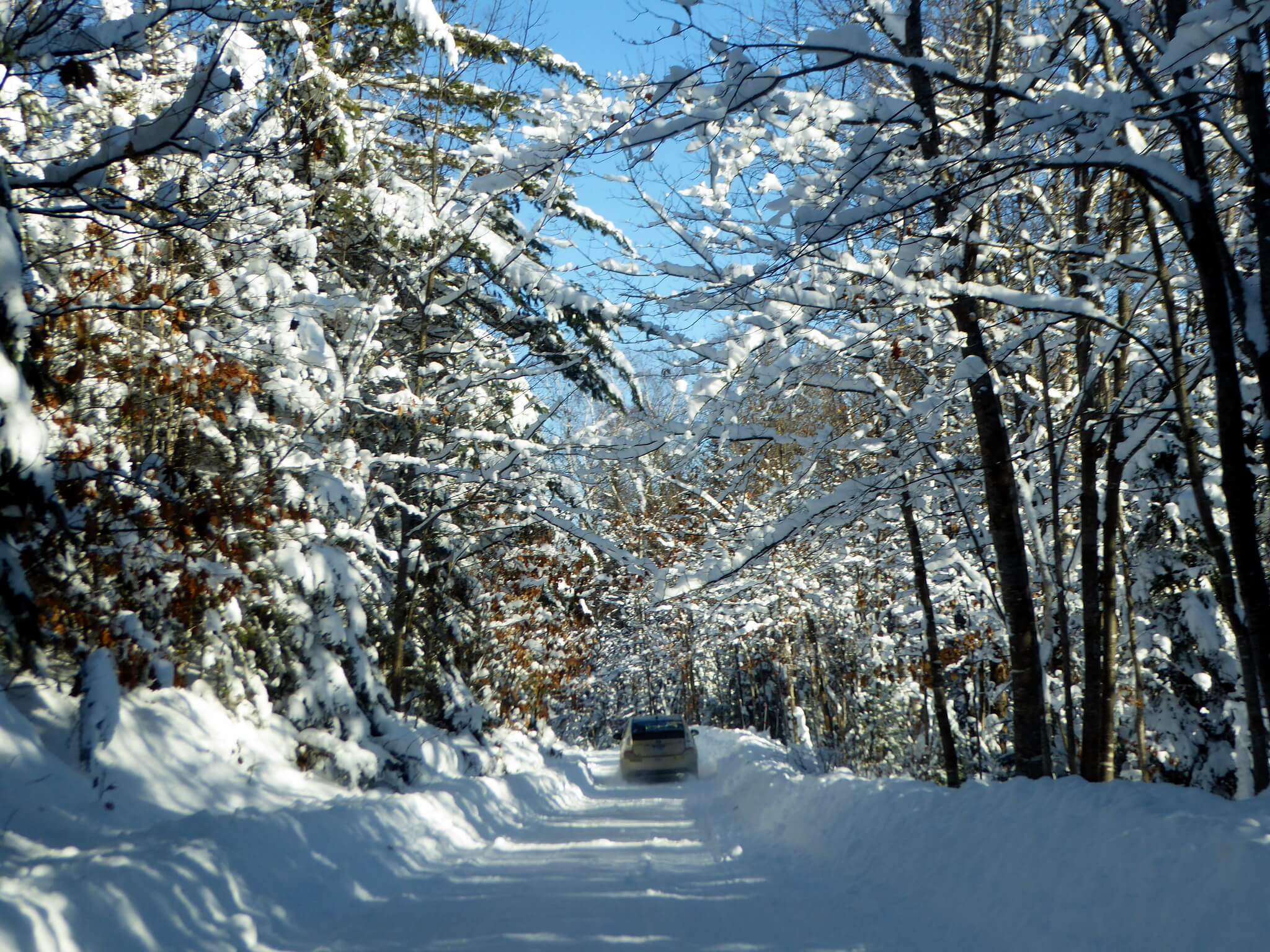 Things To Do in the Upper Peninsula in the Winter | Guindon Moving and ...